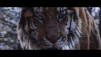 The Tiger - Legende einer Jagd - Film 2015 - FILMSTARTS.de