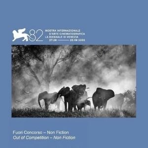 Ghost Elephants - Dokumentarfilm 2025 - FILMSTARTS.de