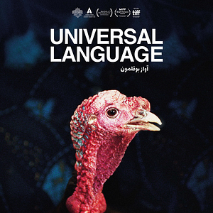 Une Langue Universelle - Film 2024 - FILMSTARTS.de