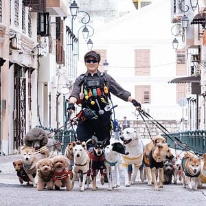 Shadow Chase - Im Netz der Diebe - Film 2025 - FILMSTARTS.de