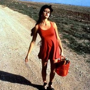 Jamon Jamon - Film 1992 - FILMSTARTS.de