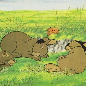 Watership Down - Unten am Fluß - Film 1978 - FILMSTARTS.de