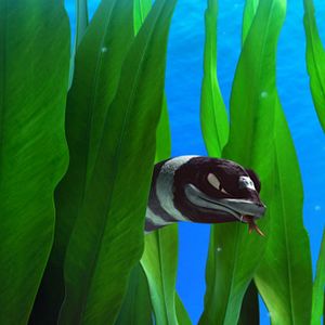 Happy Fish 2 - High-Alarm im Hochwasser: Bilder und Fotos - FILMSTARTS.de