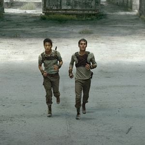 Maze Runner - Die Auserwählten im Labyrinth - Film 2014 - FILMSTARTS.de