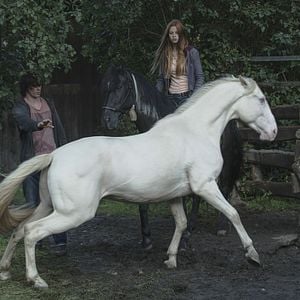 Alle Fotos zum Film Ostwind 2 - FILMSTARTS.de