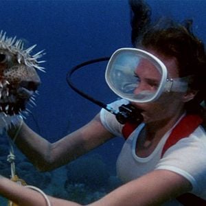 Die Tiefe - Film 1977 - FILMSTARTS.de