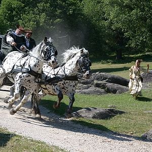 Prinzessin Maleen: Bilder und Fotos - FILMSTARTS.de