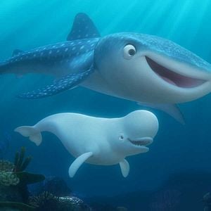 Findet Dorie - Film 2016 - FILMSTARTS.de