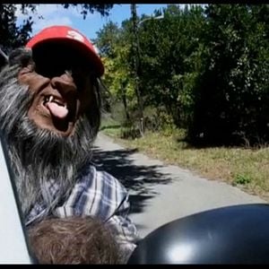 Bubba the Redneck Werewolf - Film 2014 - FILMSTARTS.de