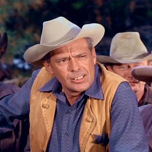 Die Leute von der Shiloh Ranch - TV-serie 1962 - FILMSTARTS.de