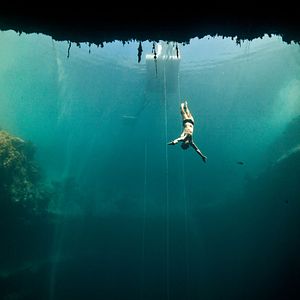 Dolphin Man - Dokumentarfilm 2017 - FILMSTARTS.de