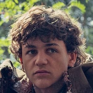 David Ali Rashed - FILMSTARTS.de