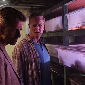 André Babikian - FILMSTARTS.de