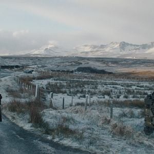 Falling Into Place - Film 2023 - FILMSTARTS.de