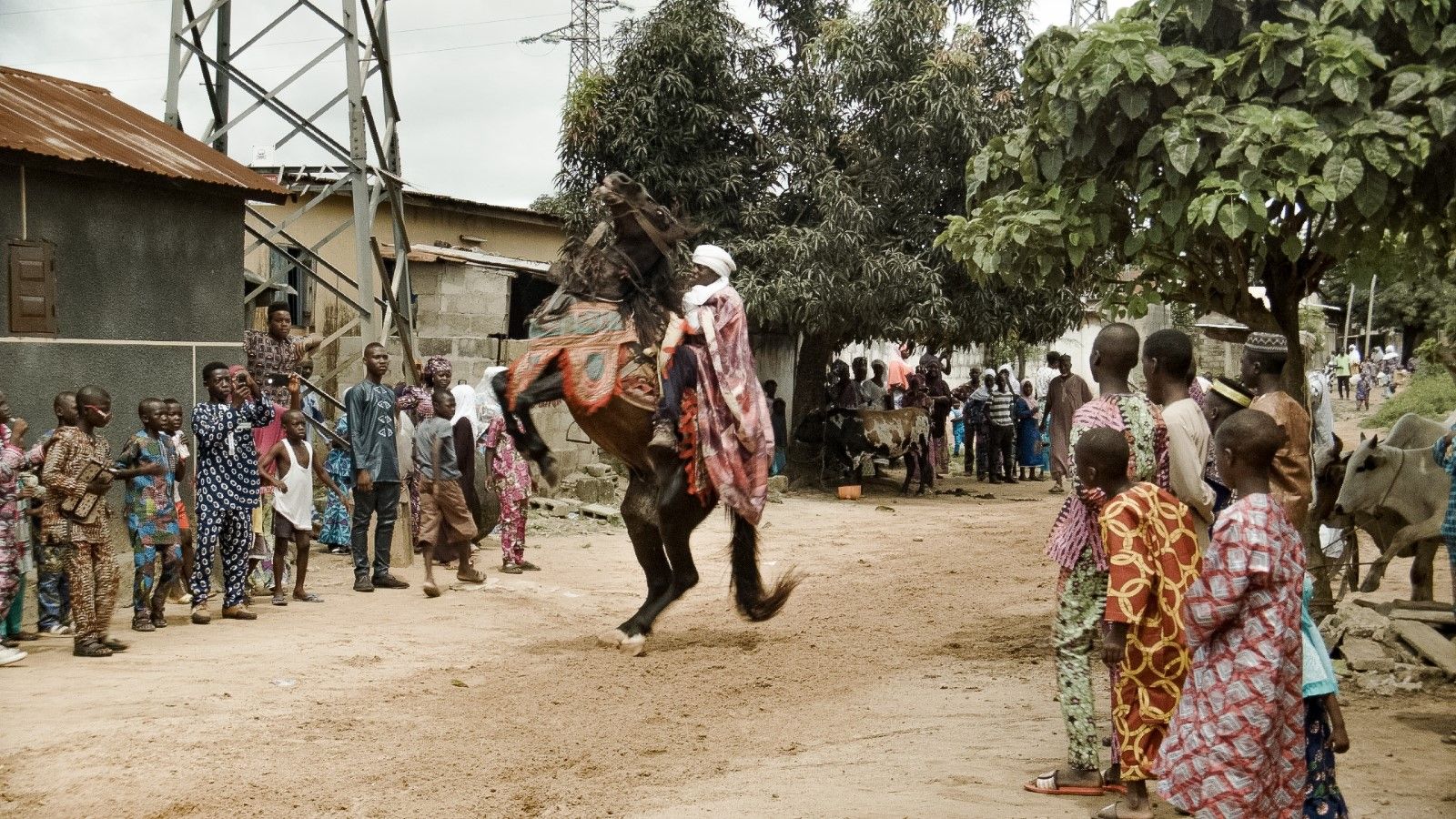Foto zum Film Togoland Projektionen - Bild 4 auf 13 - FILMSTARTS.de