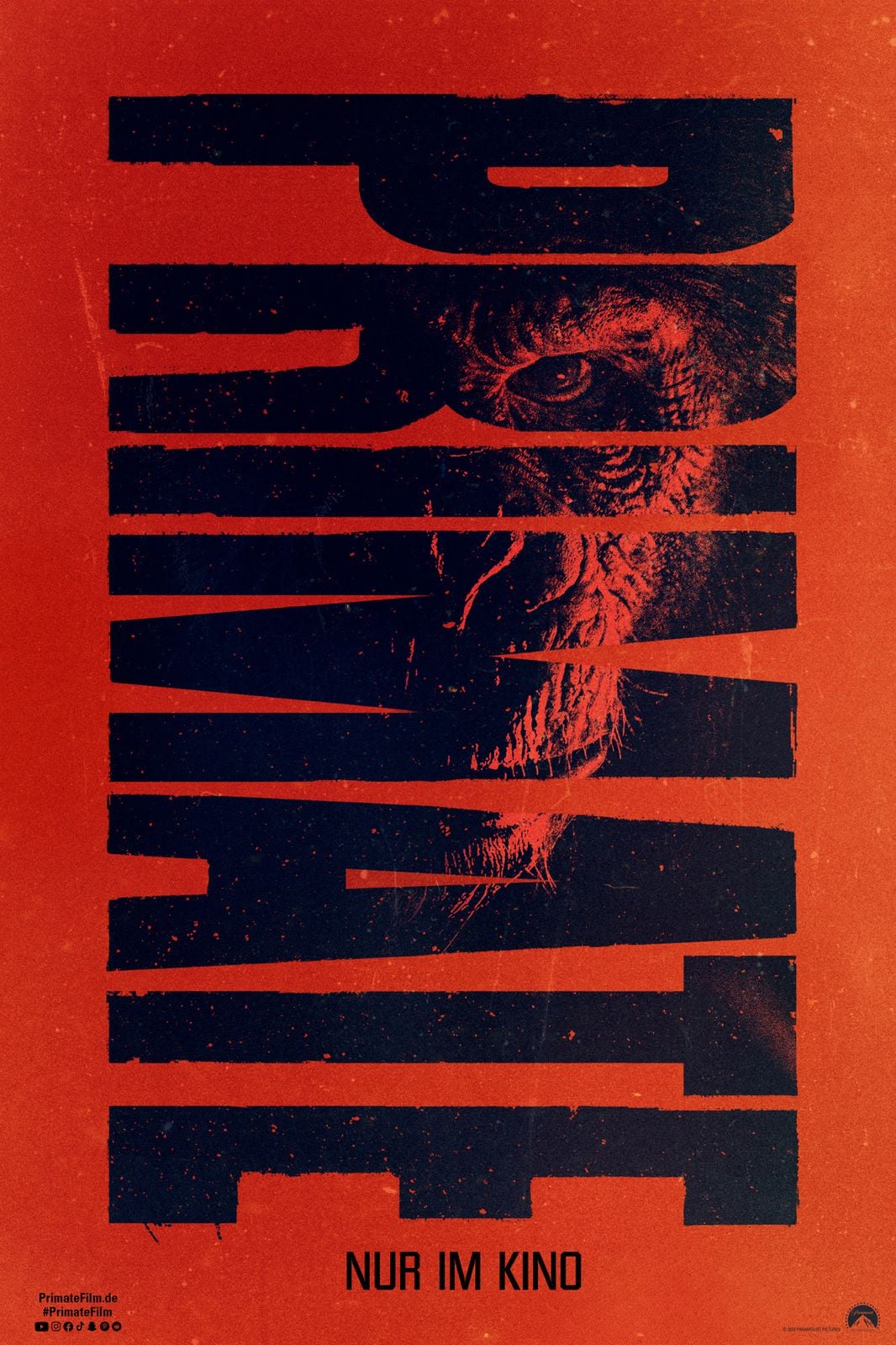 Primate: Filme Trivia - FILMSTARTS.de