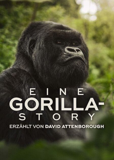 News zum Film Eine Gorilla-Story erzählt von David Attenborough ...