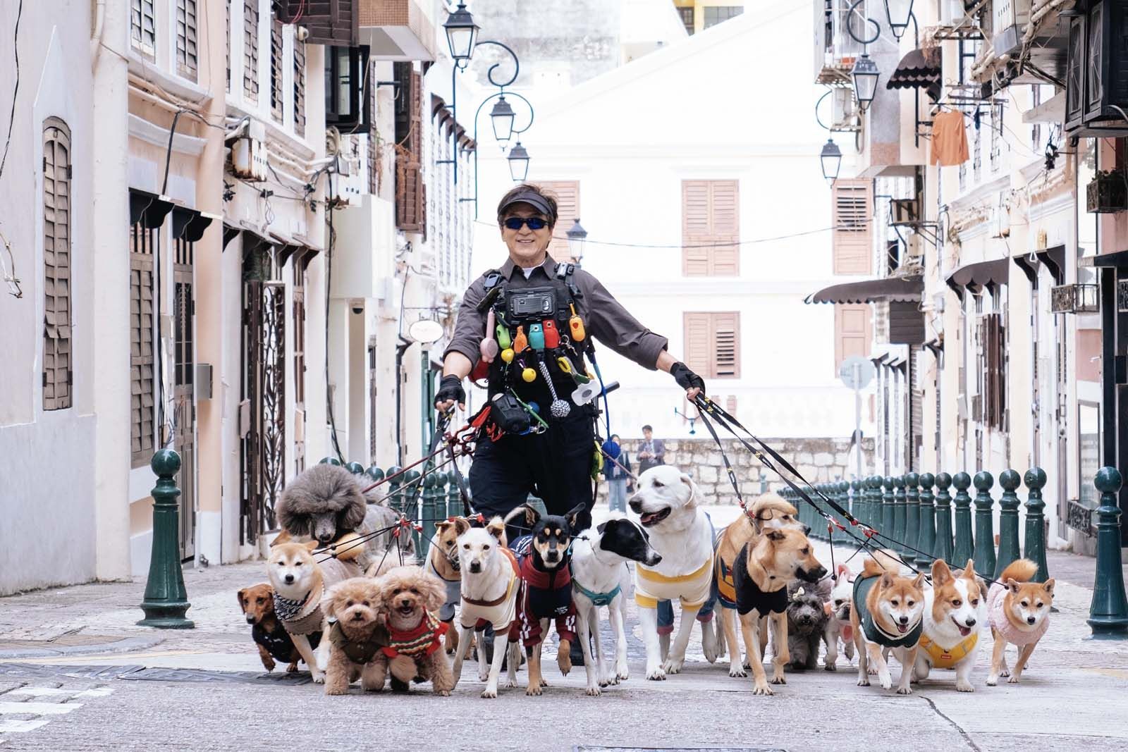 Foto zum Film Shadow Chase - Im Netz der Diebe - Bild 2 auf 22 - FILMSTARTS.de