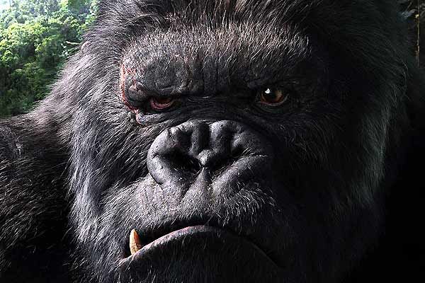 Foto zum Film King Kong - Bild 74 auf 115 - FILMSTARTS.de