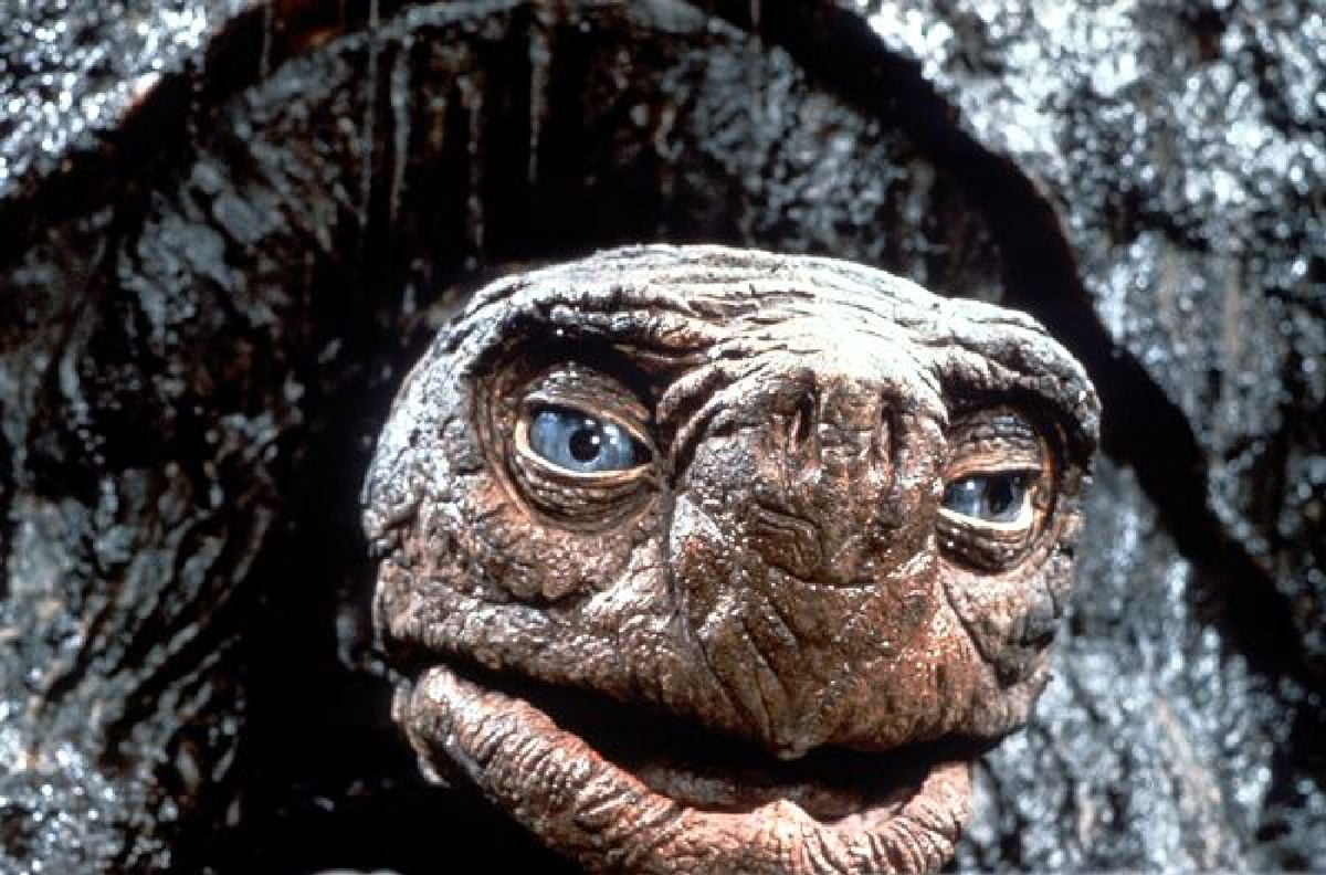 Foto zum Film Die unendliche Geschichte - Bild 7 auf 22 - FILMSTARTS.de