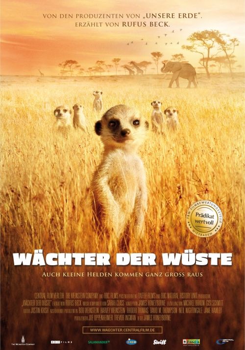 Wächter der Wüste - Film 2008 - FILMSTARTS.de