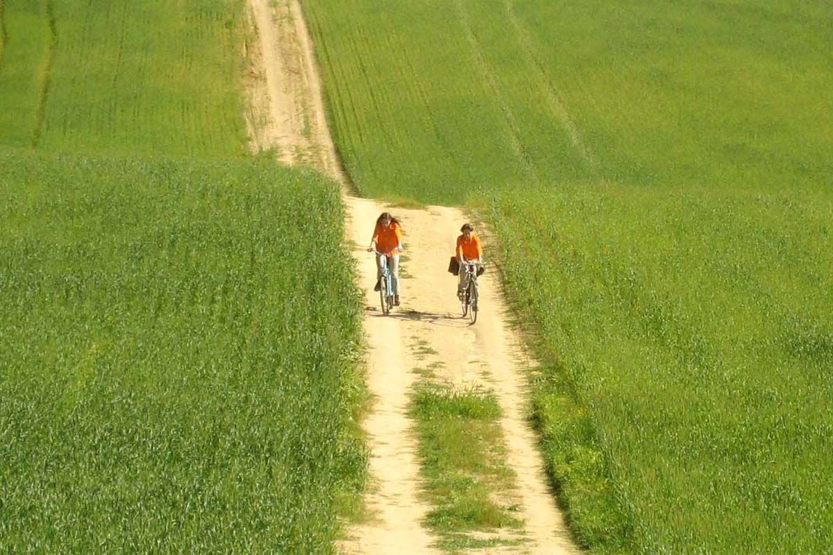 Foto zum Film Sweet Mud - Bild 5 auf 7 - FILMSTARTS.de