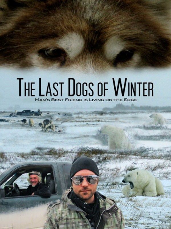 The Last Dogs of Winter - Dokumentarfilm 2011 - FILMSTARTS.de