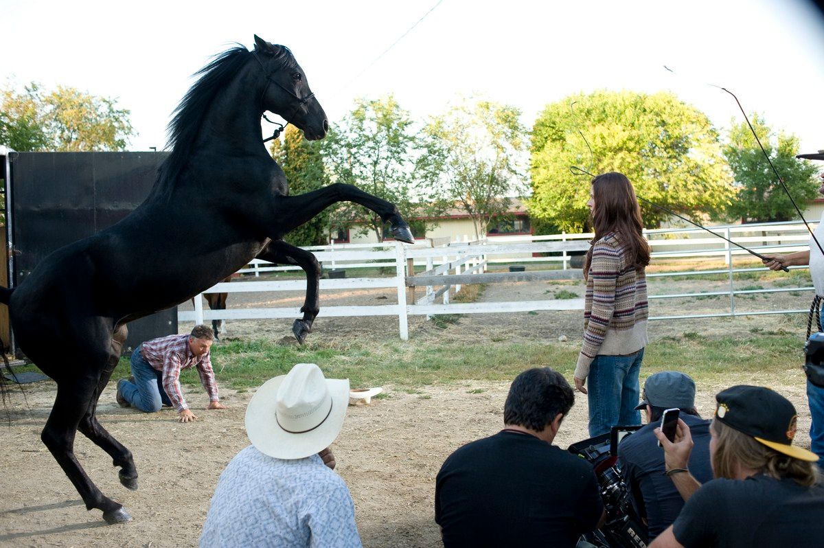 Foto zum Film Flicka 3 - Beste Freunde - Bild 8 auf 12 - FILMSTARTS.de
