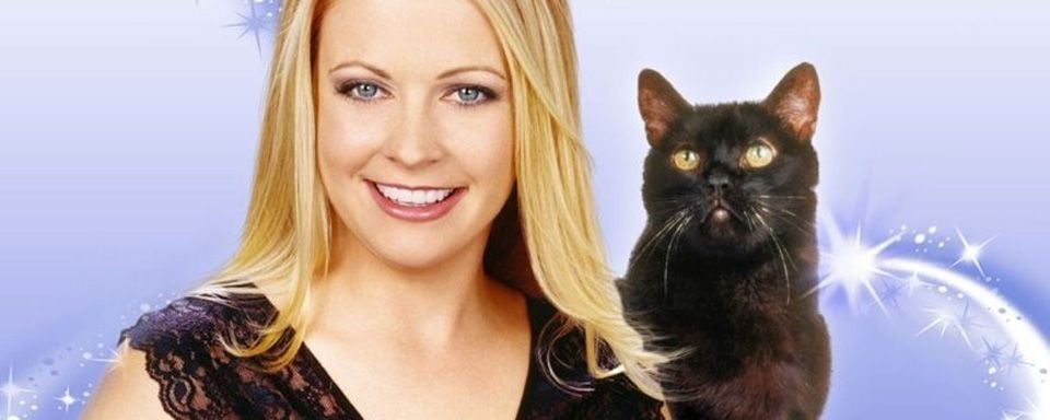 "The Chilling Adventures Of Sabrina": Erstes Foto von Sabrinas Katze ...