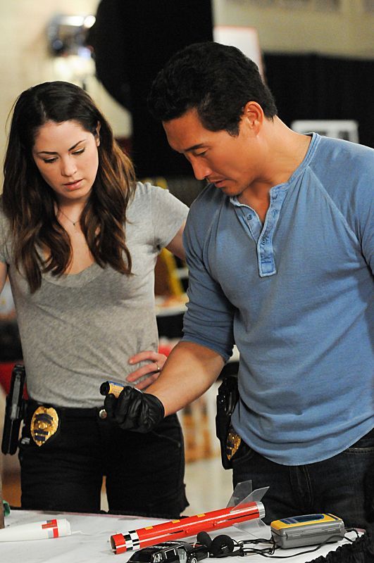 Hawaii Five-0: Hawaii Five-0 : Bild Michelle Borth - 793 von 1177 ...