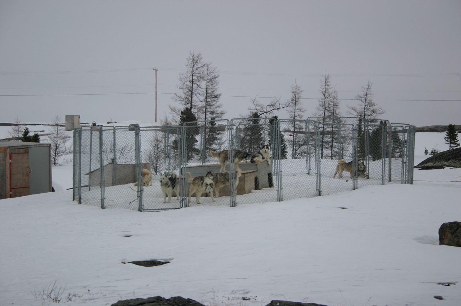 Foto zum Film The Wings of Johnny May - Bild 6 auf 37 - FILMSTARTS.de