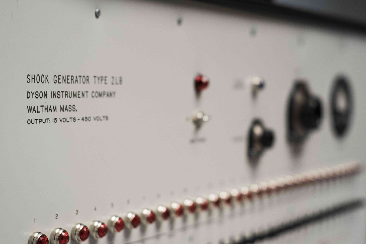 Foto zum Film Experimenter - Die Stanley Milgram Story - Bild 7 auf 18 ...