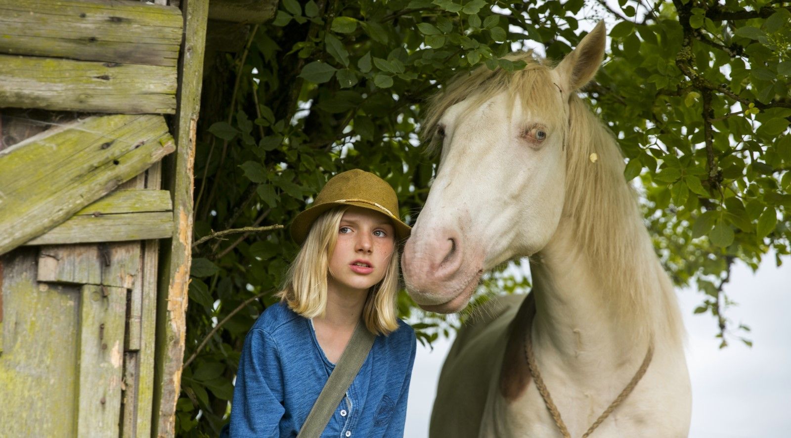 Bild zu Jule Hermann - Wendy - Der Film : Bild Jule Hermann - Foto 35 ...