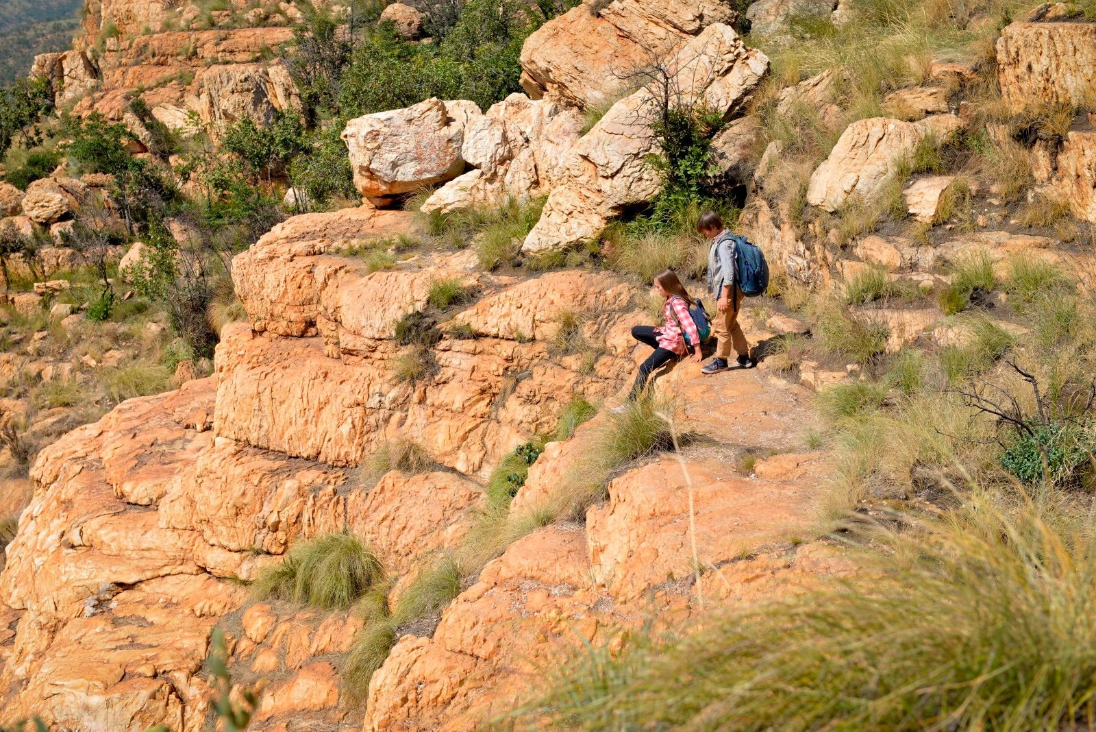 Bild zu Ella Ballentine - Kleine Helden, große Wildnis 2 - Abenteuer Serengeti : Bild John Paul ...
