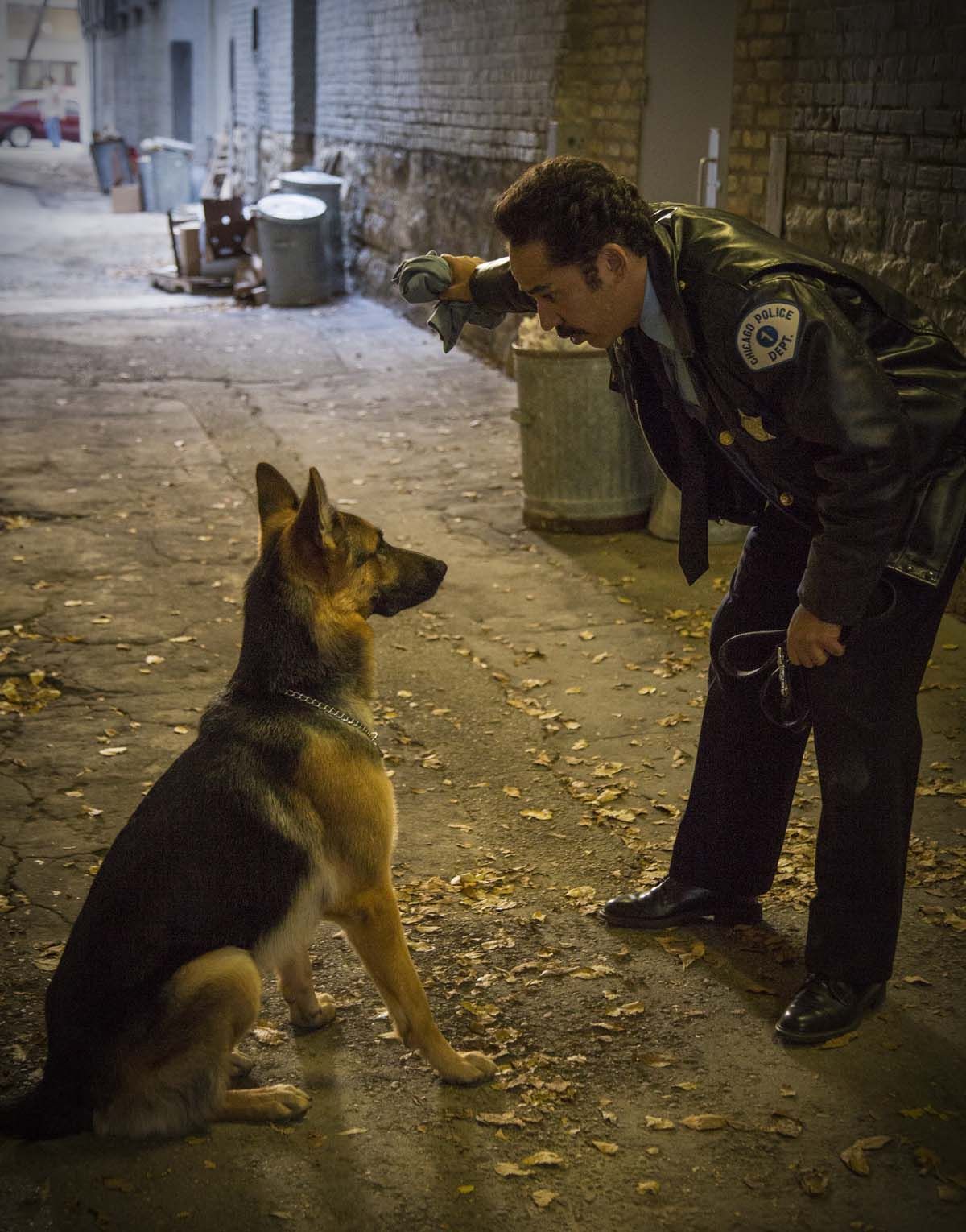 Foto zum Film Bailey - Ein Freund fürs Leben - Bild 11 auf 37 ...