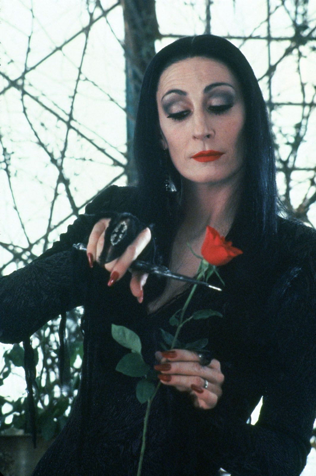 Foto zum Film Die Addams Family - Bild 7 auf 34 - FILMSTARTS.de