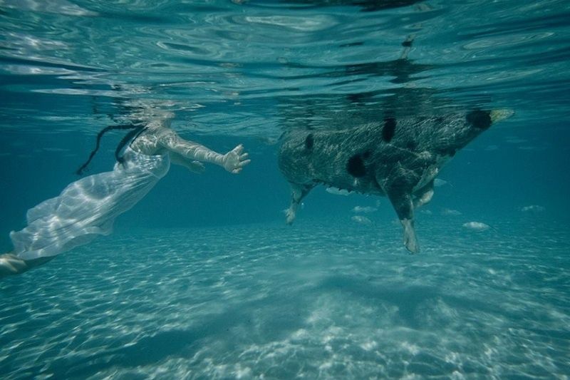 Foto zum Film Divine Love - Bild 5 auf 5 - FILMSTARTS.de