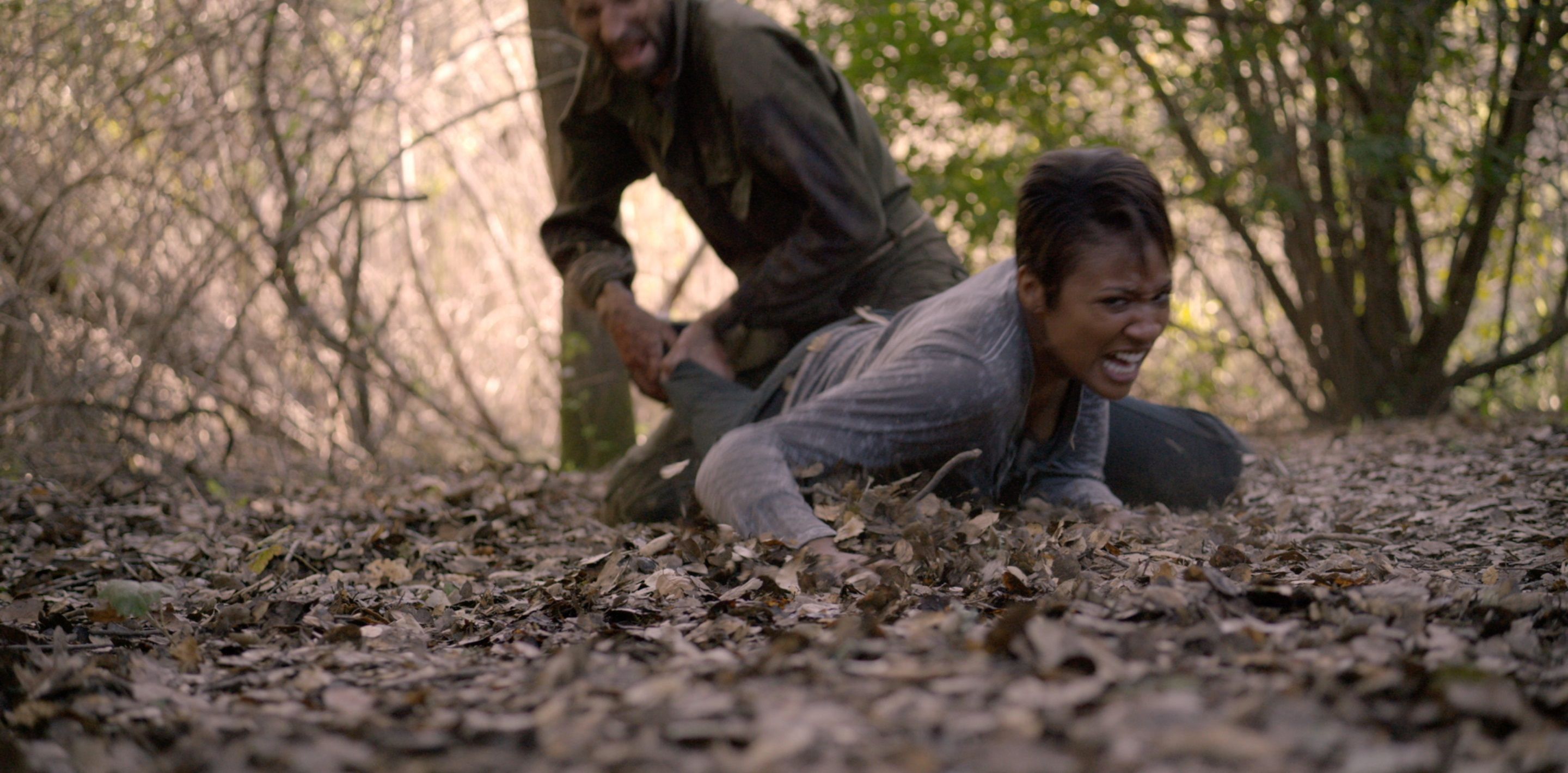 Foto zum Film Die Beute - Aufspüren. Jagen. Töten. - Bild 10 auf 14 ...