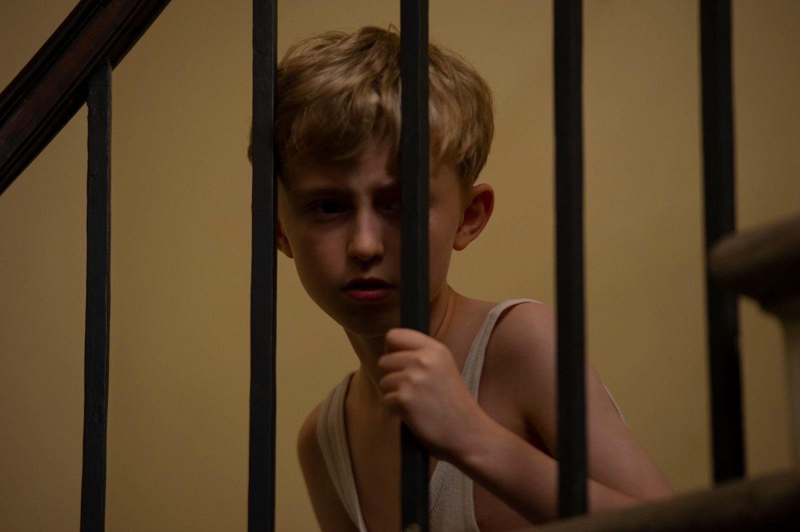 Bild zu Gregor Selkirk - Der Honiggarten - Das Geheimnis der Bienen ...