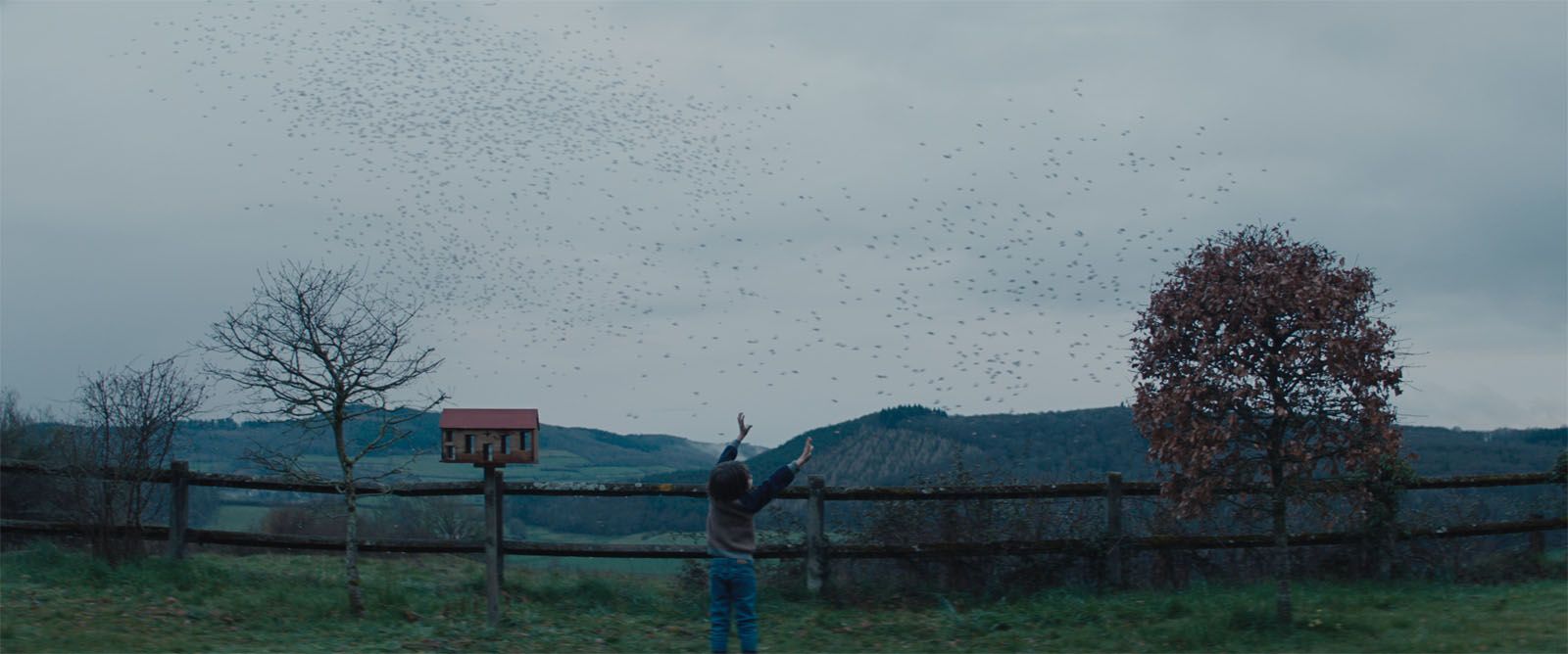 Foto zum Film Ogre - Bild 8 auf 14 - FILMSTARTS.de