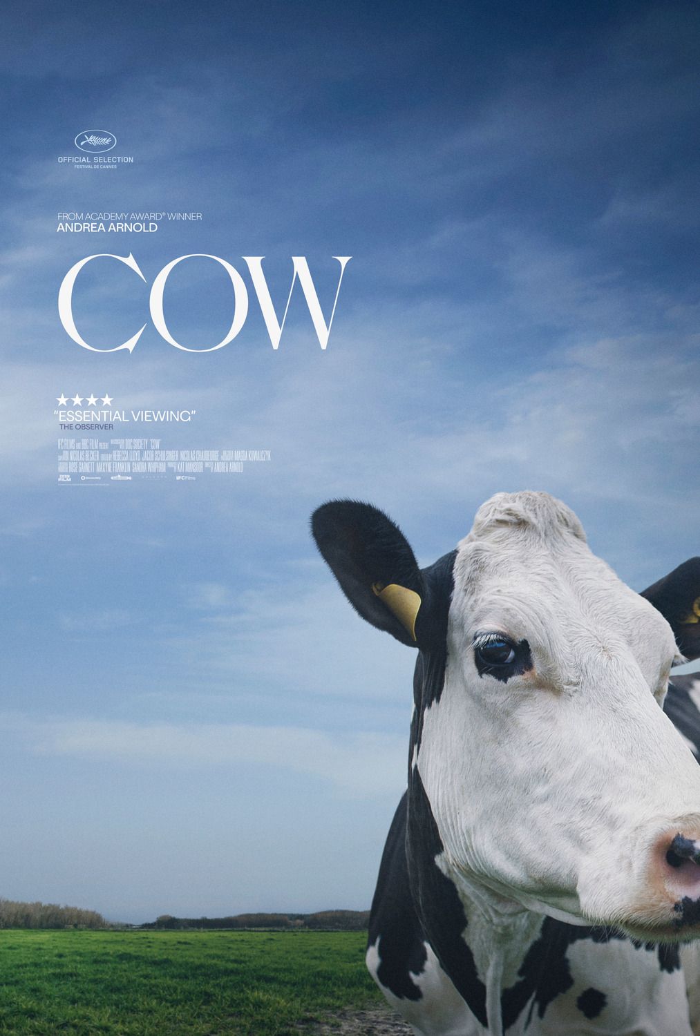 Cow - Dokumentarfilm 2021 - FILMSTARTS.de