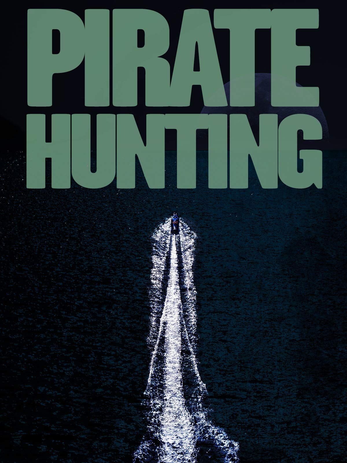 Pirate Hunting - Dokumentarfilm 2009 - FILMSTARTS.de