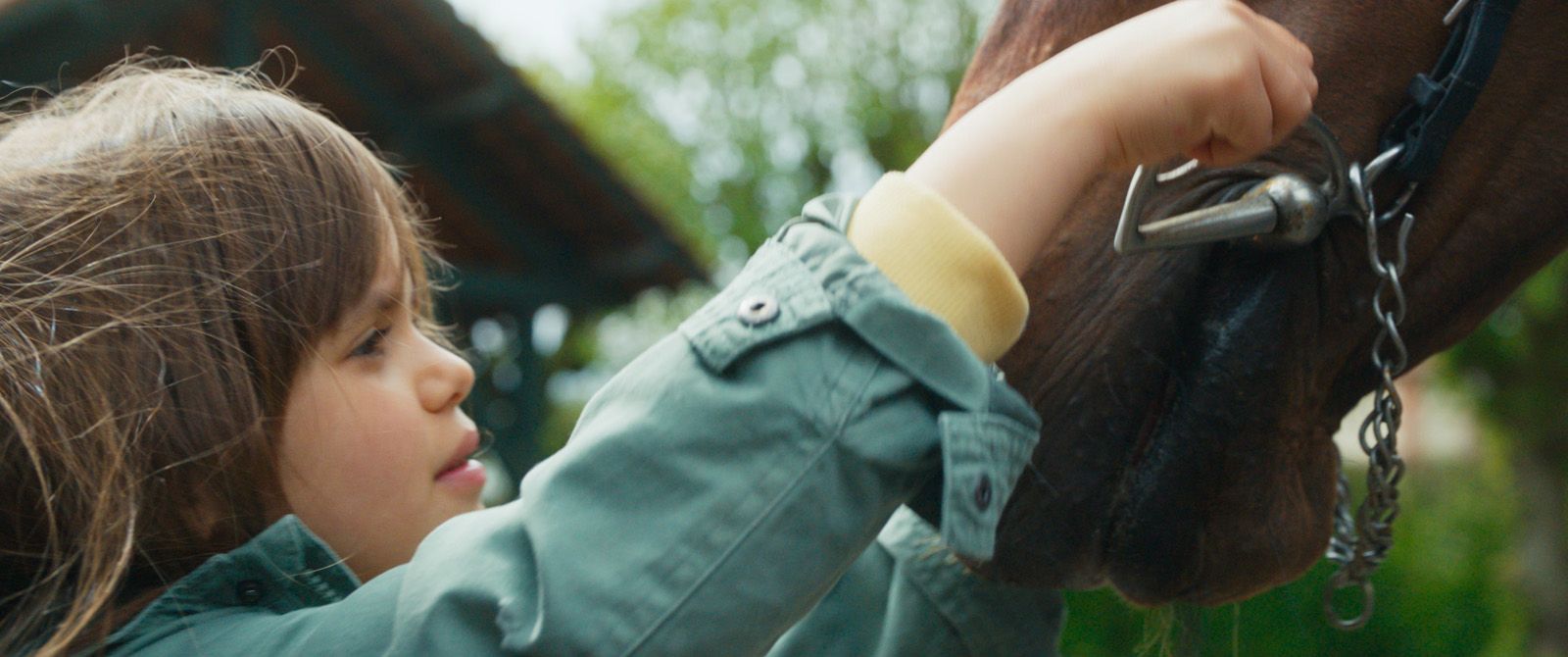 Foto zum Film Zoe & Sturm - Bild 7 auf 19 - FILMSTARTS.de