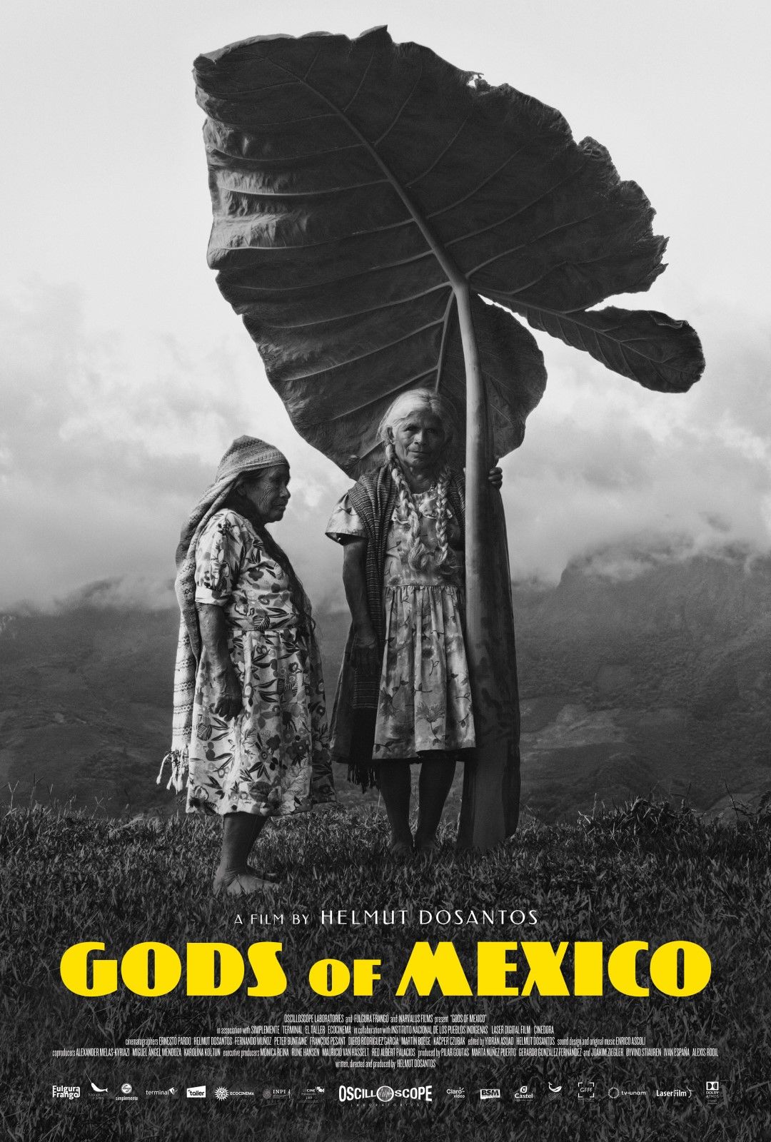 Userkritik zum Film Gods Of Mexico - FILMSTARTS.de