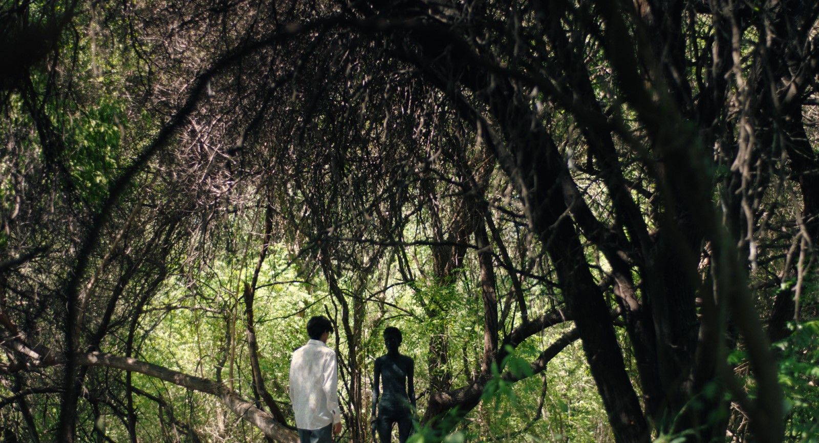 Foto zum Film Almamula - Bild 16 auf 18 - FILMSTARTS.de