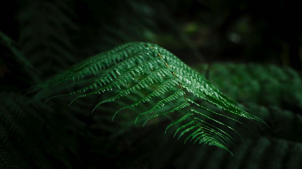 Foto zu Sycorax - Bild 7 auf 7 - FILMSTARTS.de