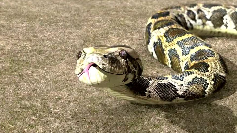 MSG 2: The Messenger Trailer - MSG 2: The Messenger Trailer OV ...