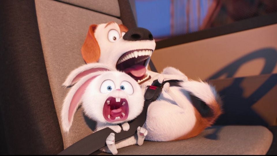 Pets Trailer - Pets Trailer (4) DF - FILMSTARTS.de