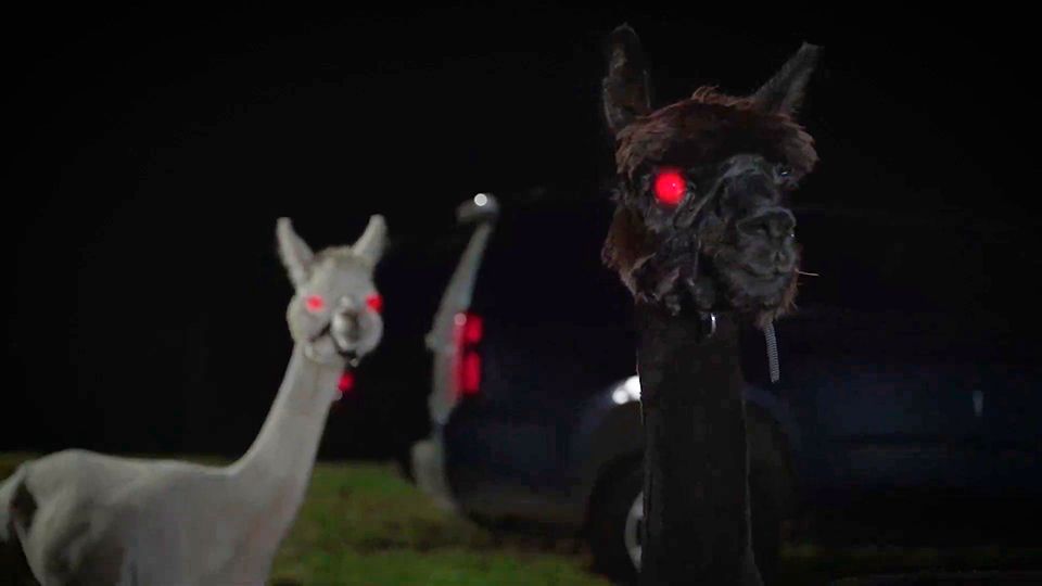 Alpacalypse Trailer - Alpacalypse Trailer OV - FILMSTARTS.de