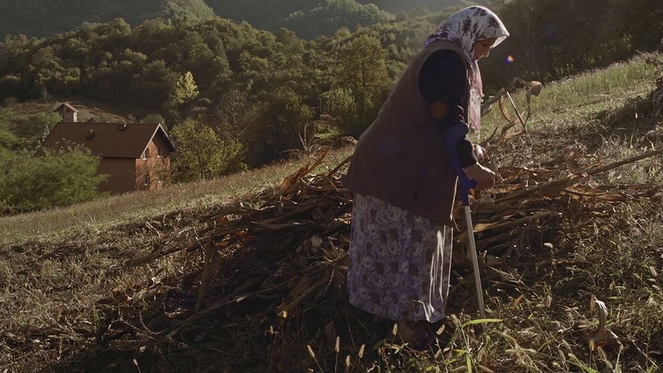 Disturbed Earth Trailer - Disturbed Earth Trailer OmeU - FILMSTARTS.de